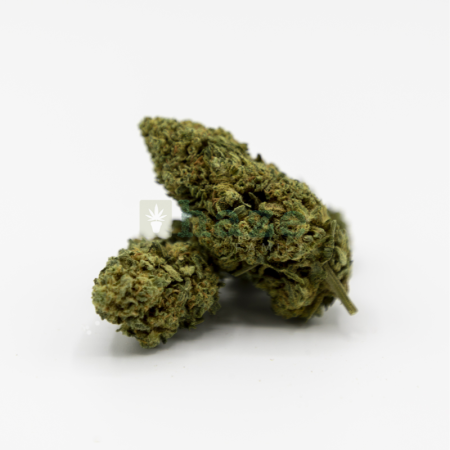 Mango Haze Indoor – Fleurs de CBD aromatiques & puissantes